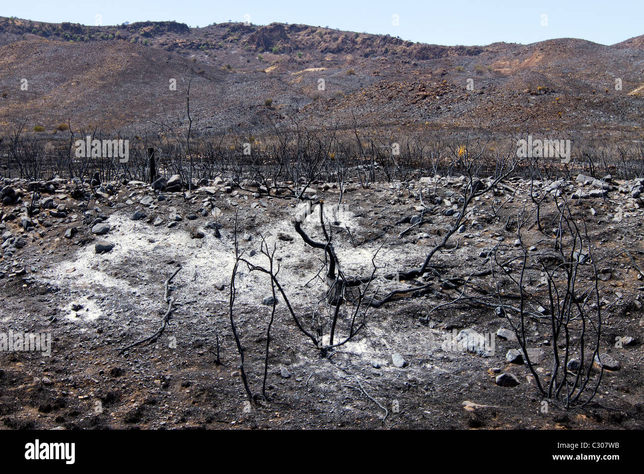 Aftermath of wild fires that devastated ranch land near Marfa and Fort ...