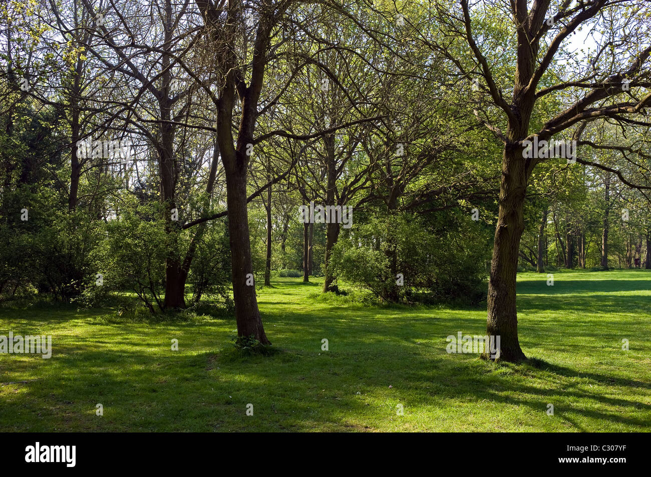 Langdon hills country park hi-res stock photography and images - Alamy