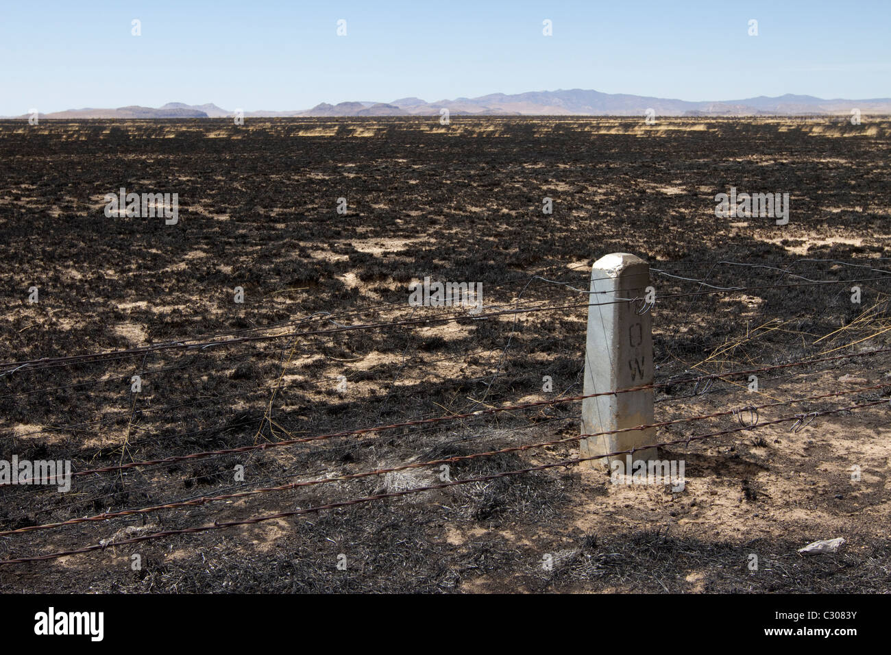 Aftermath of wild fires that devastated ranch land near Marfa and Fort ...