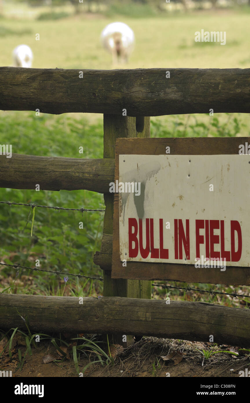 Bull in field sign hi-res stock photography and images - Alamy