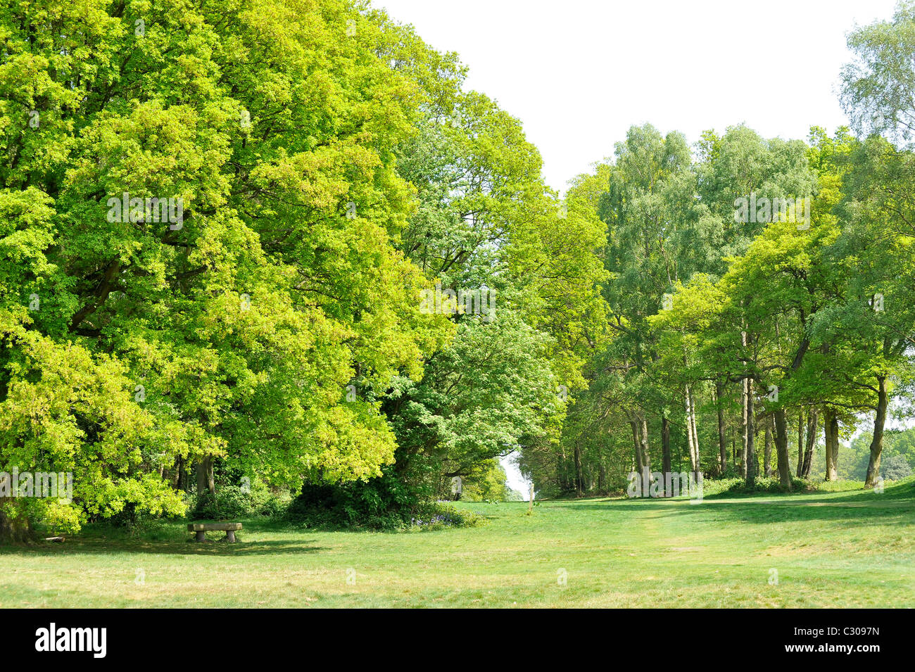 Chorleywood common hi-res stock photography and images - Alamy