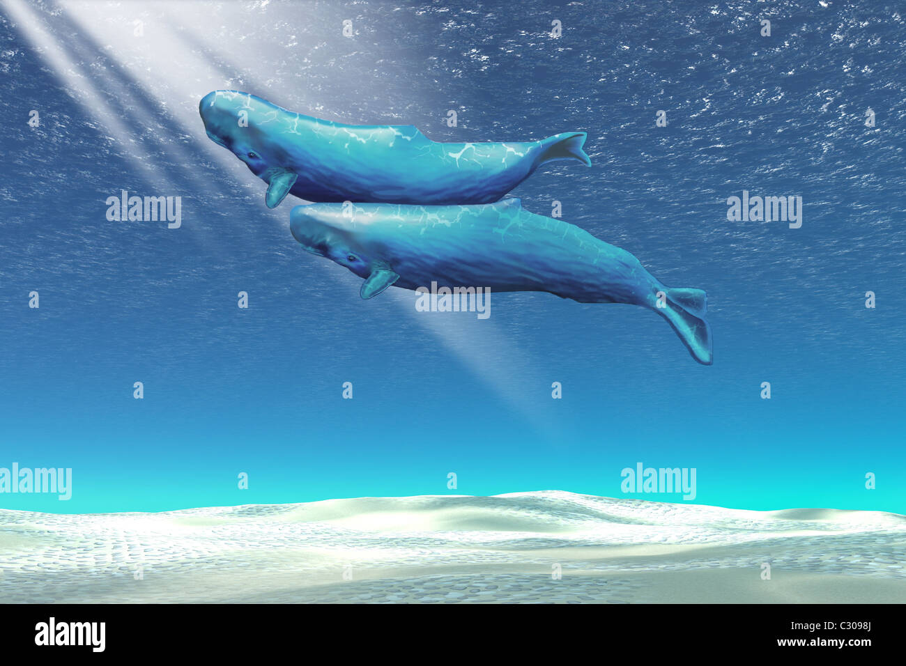 Flying sperm whale hi-res stock photography and images - Alamy
