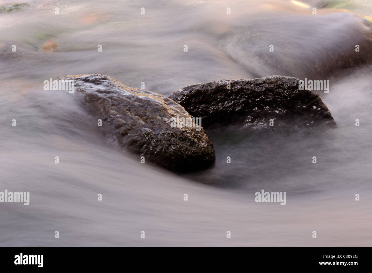 Water flowing in a river in Mexico Stock Photo - Alamy