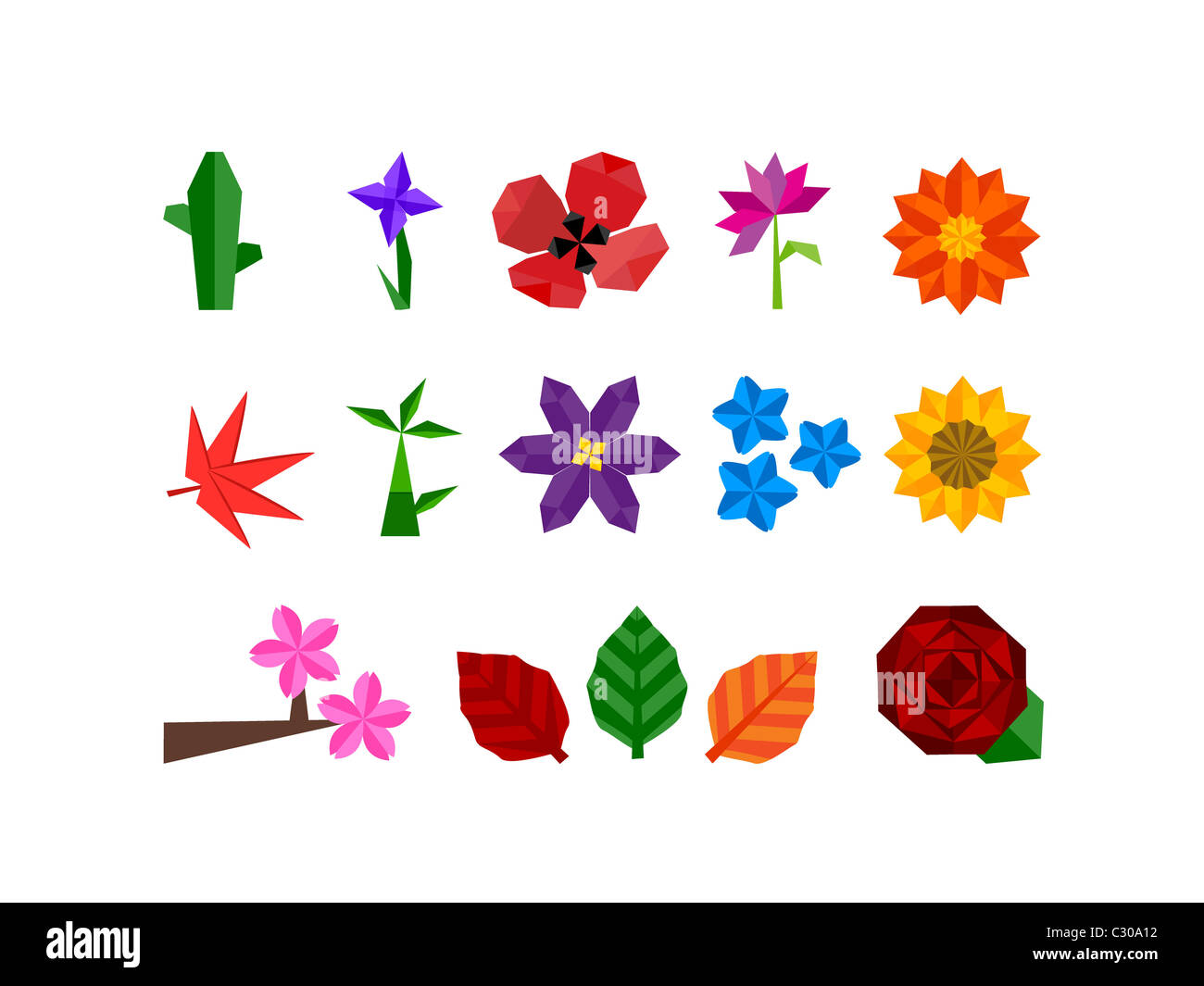 Green plant poppy flower Cut Out Stock Images & Pictures - Alamy