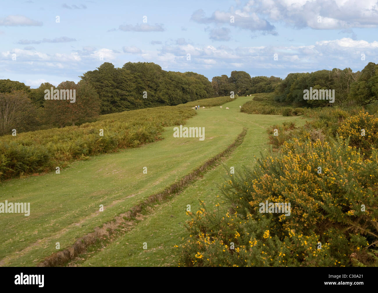 Near Kington High Resolution Stock Photography and Images - Alamy