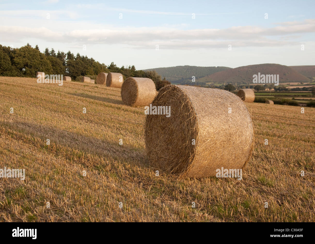 Big bales hi-res stock photography and images - Alamy