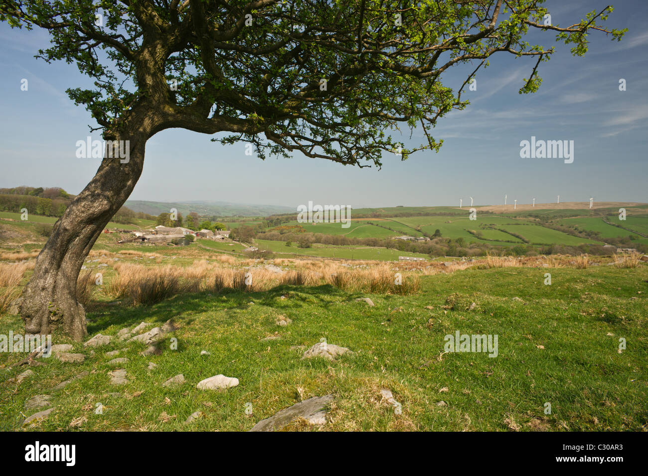 Littledale hi-res stock photography and images - Alamy