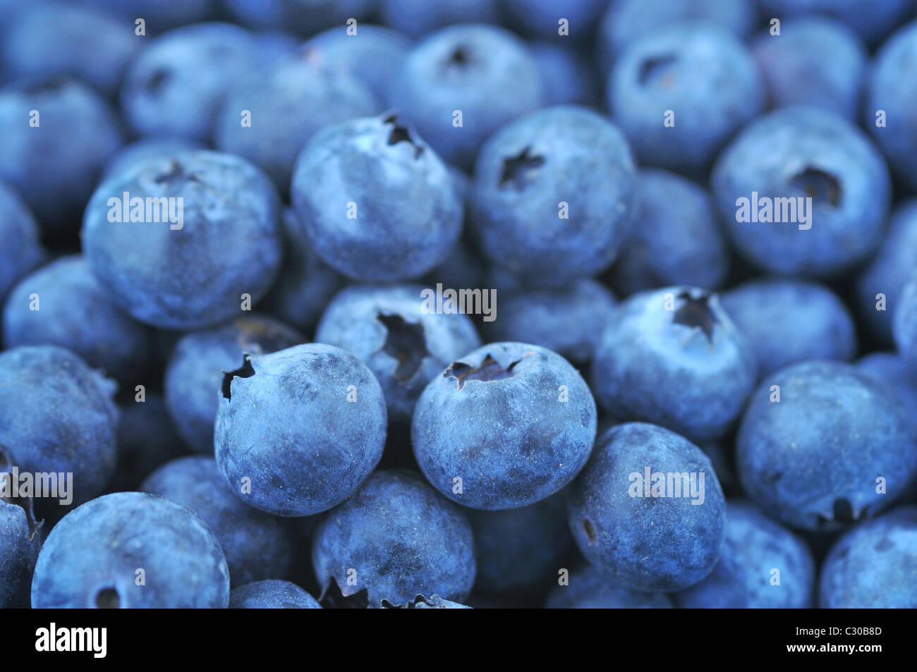 Blueberries in a bowl Stock Photo - Alamy