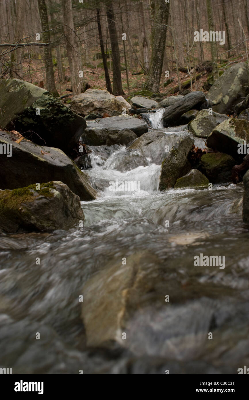 Symbols of new life nature hi-res stock photography and images - Alamy