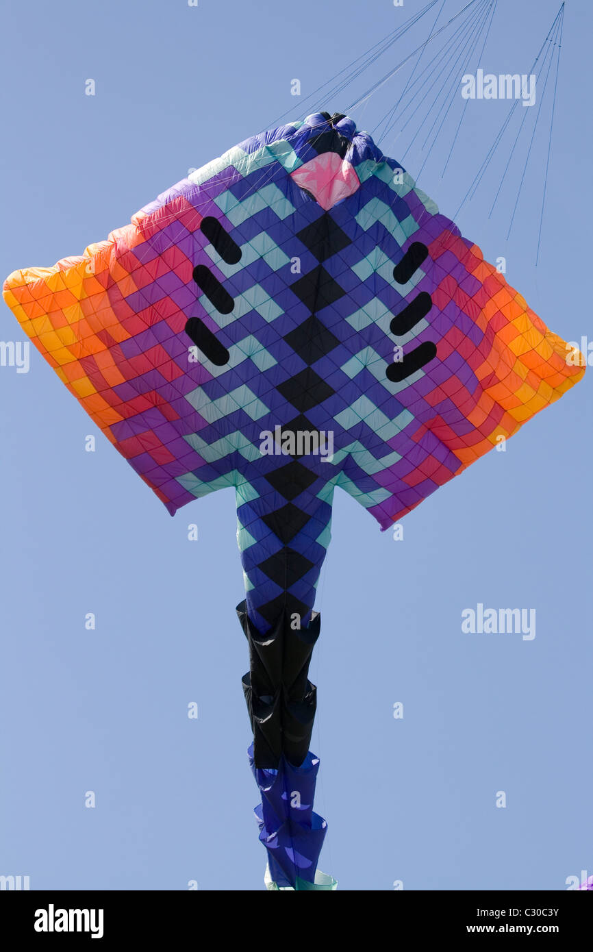 A large fish shaped kite at Streatham Park, family kite day Stock Photo ...