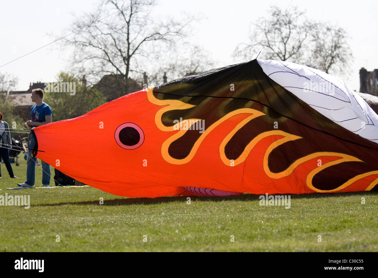 Goldfish orange hi-res stock photography and images - Alamy