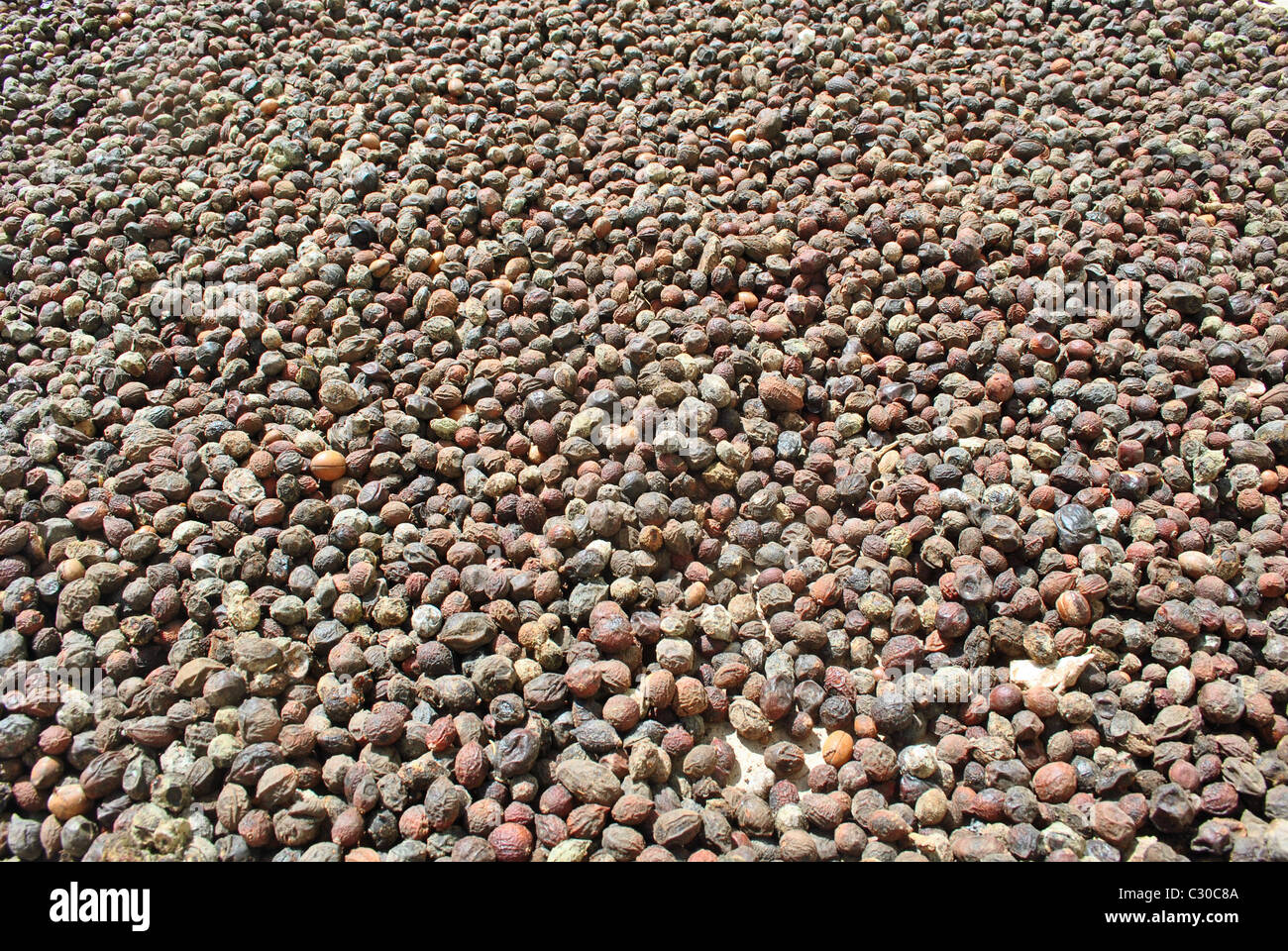 Nuts drying hi-res stock photography and images - Alamy