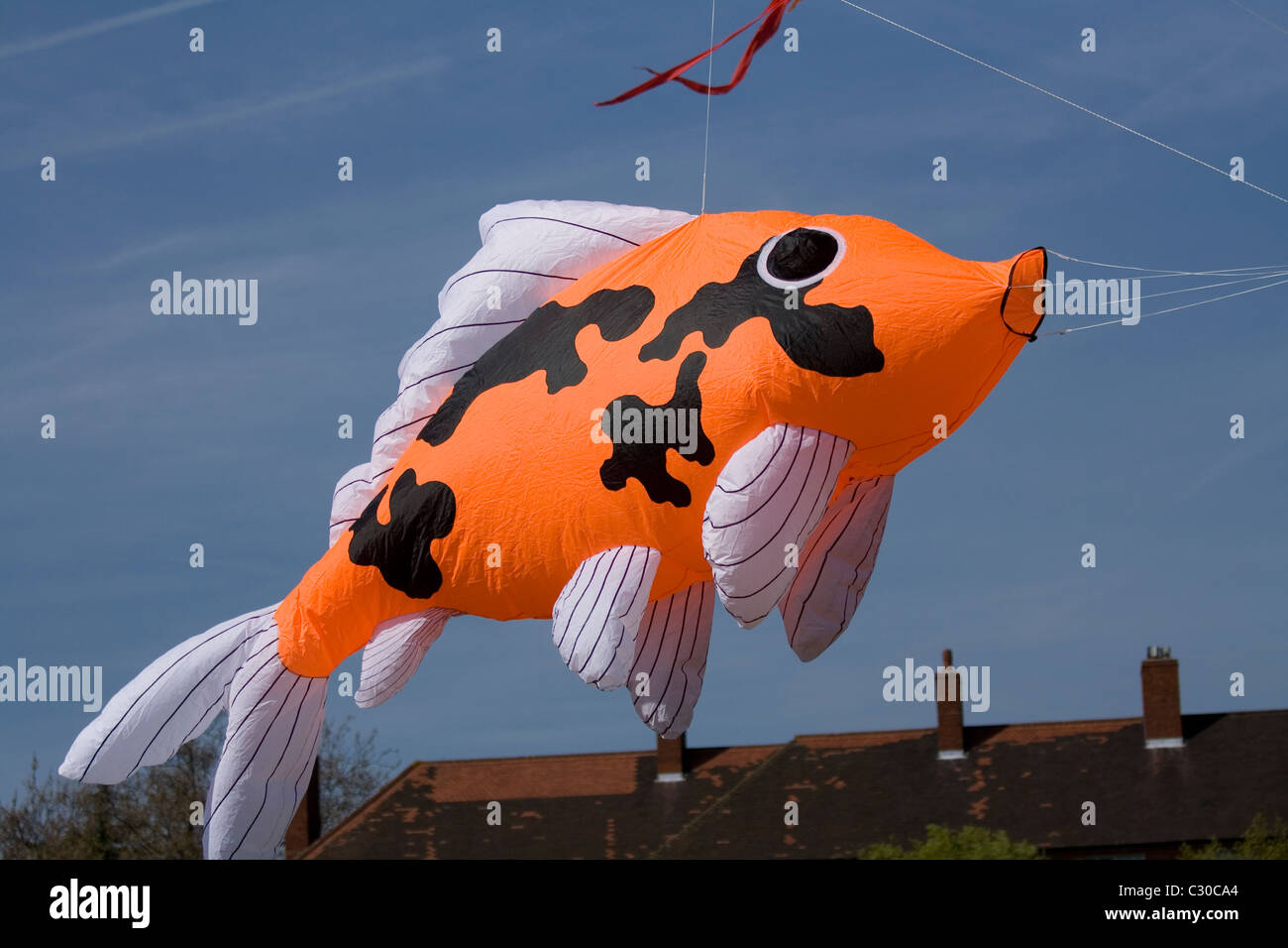 A large orange fish shaped kite at the family kite day at Streatham ...