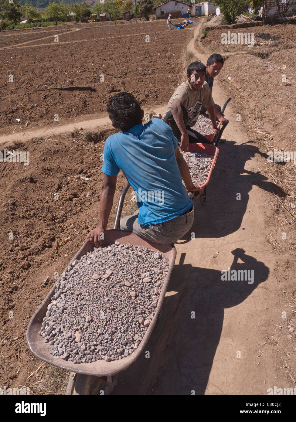 Three young adult male workers haul wheelbarrows full of crushed rock ...