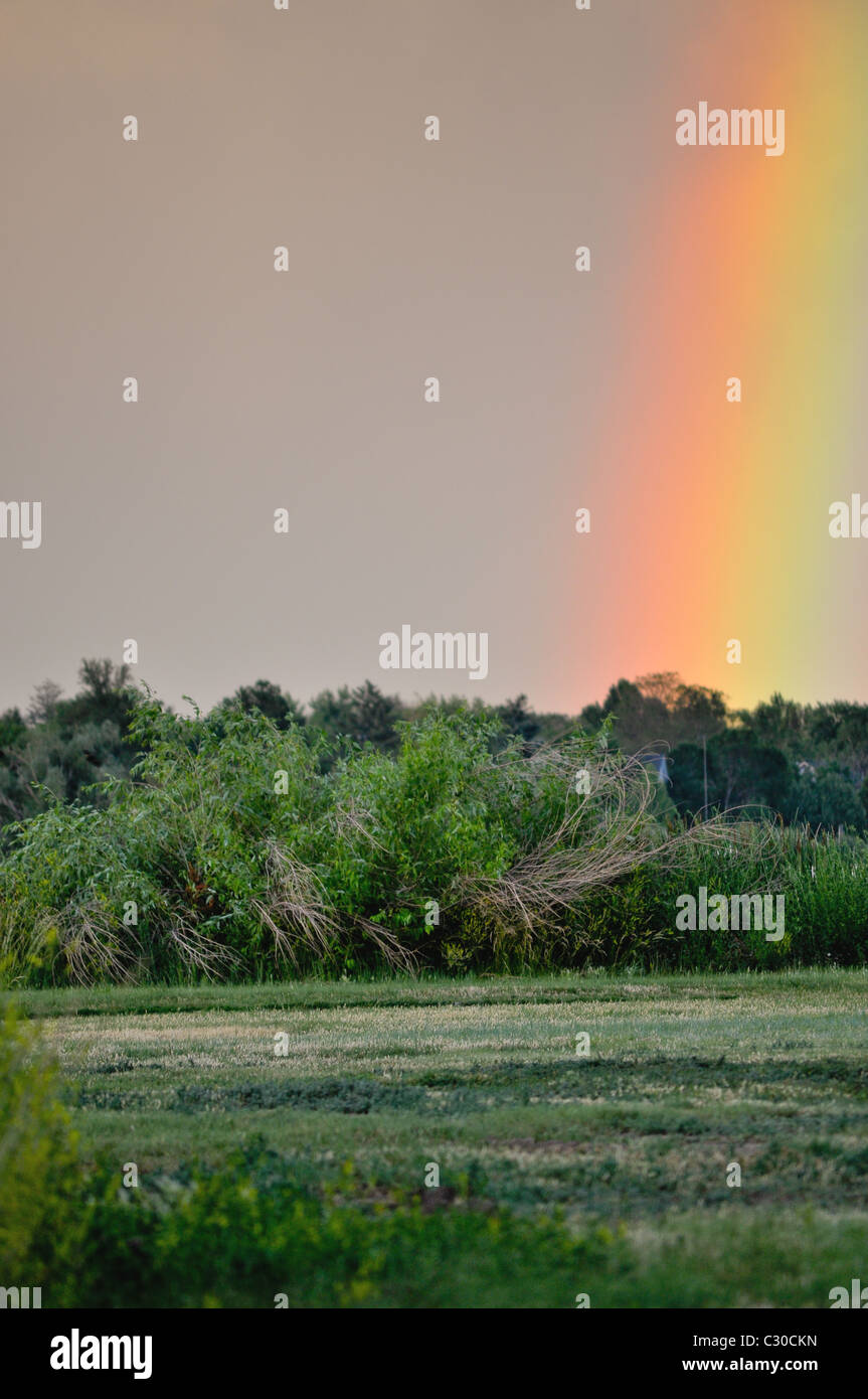 Rainbow over park in Denver colorado Stock Photo - Alamy
