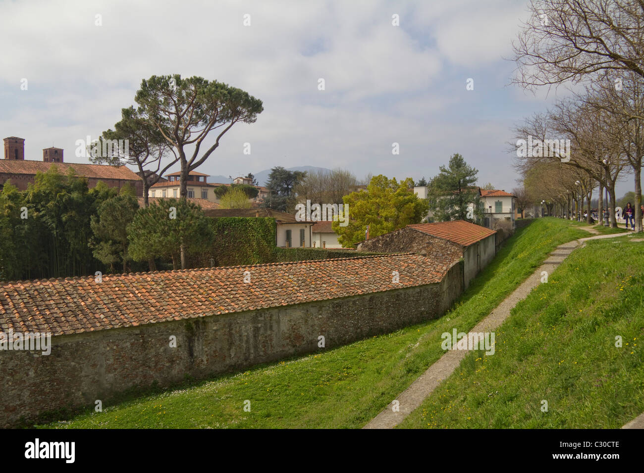 Medieval city walls in Lucca Tuscany Italy Stock Photo - Alamy