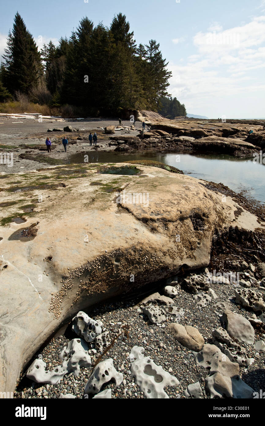 Botanical Beach. Vancouver Island, BC, Canada Stock Photo - Alamy