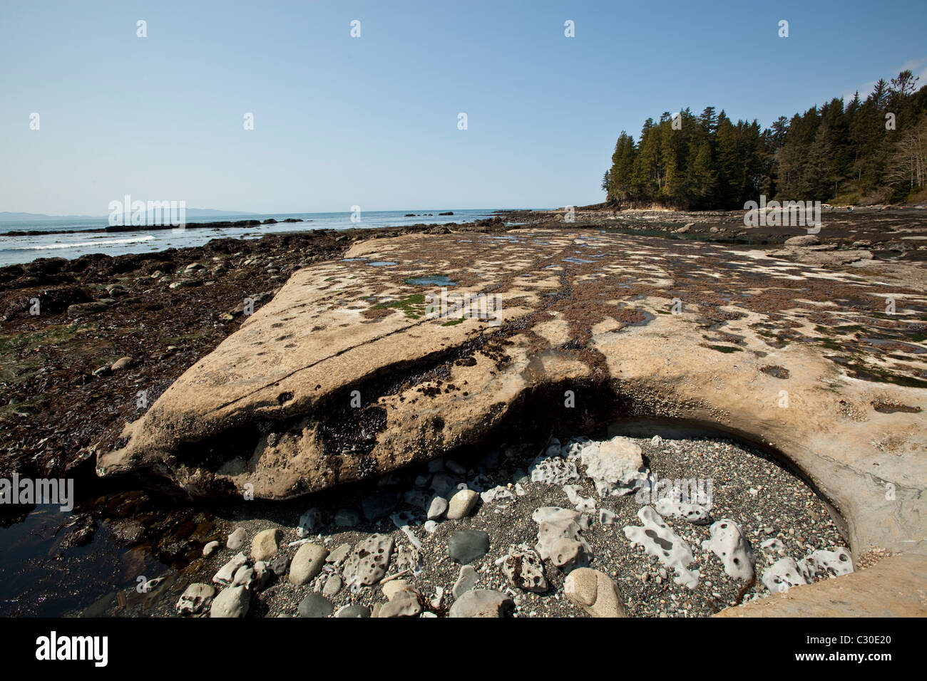 Botanical Beach. Vancouver Island, BC, Canada Stock Photo - Alamy