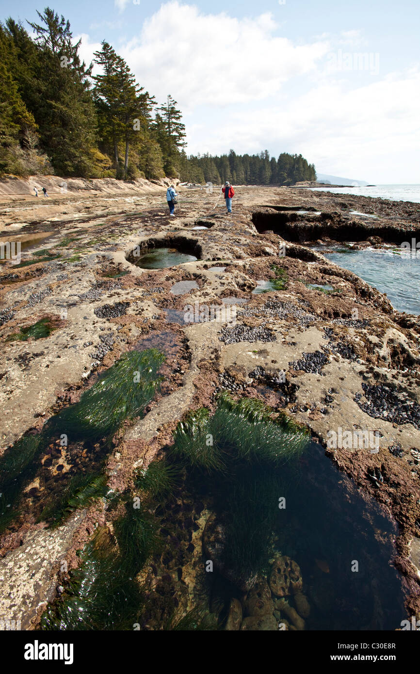 Botanical Beach. Vancouver Island, BC, Canada Stock Photo - Alamy