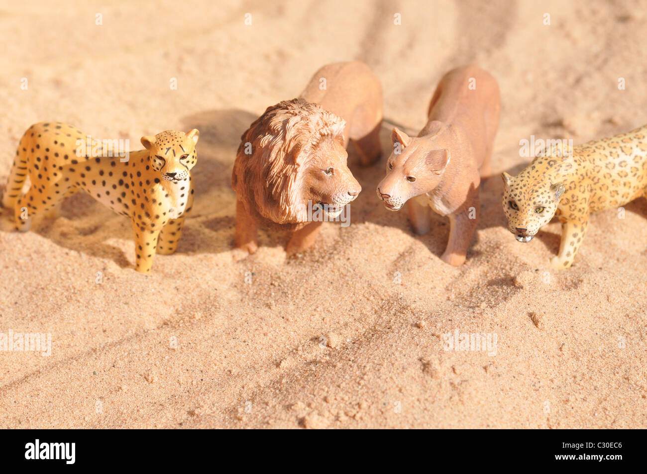 Wild cats toy figurines (lion, lioness, cheetah, leopard Stock Photo ...