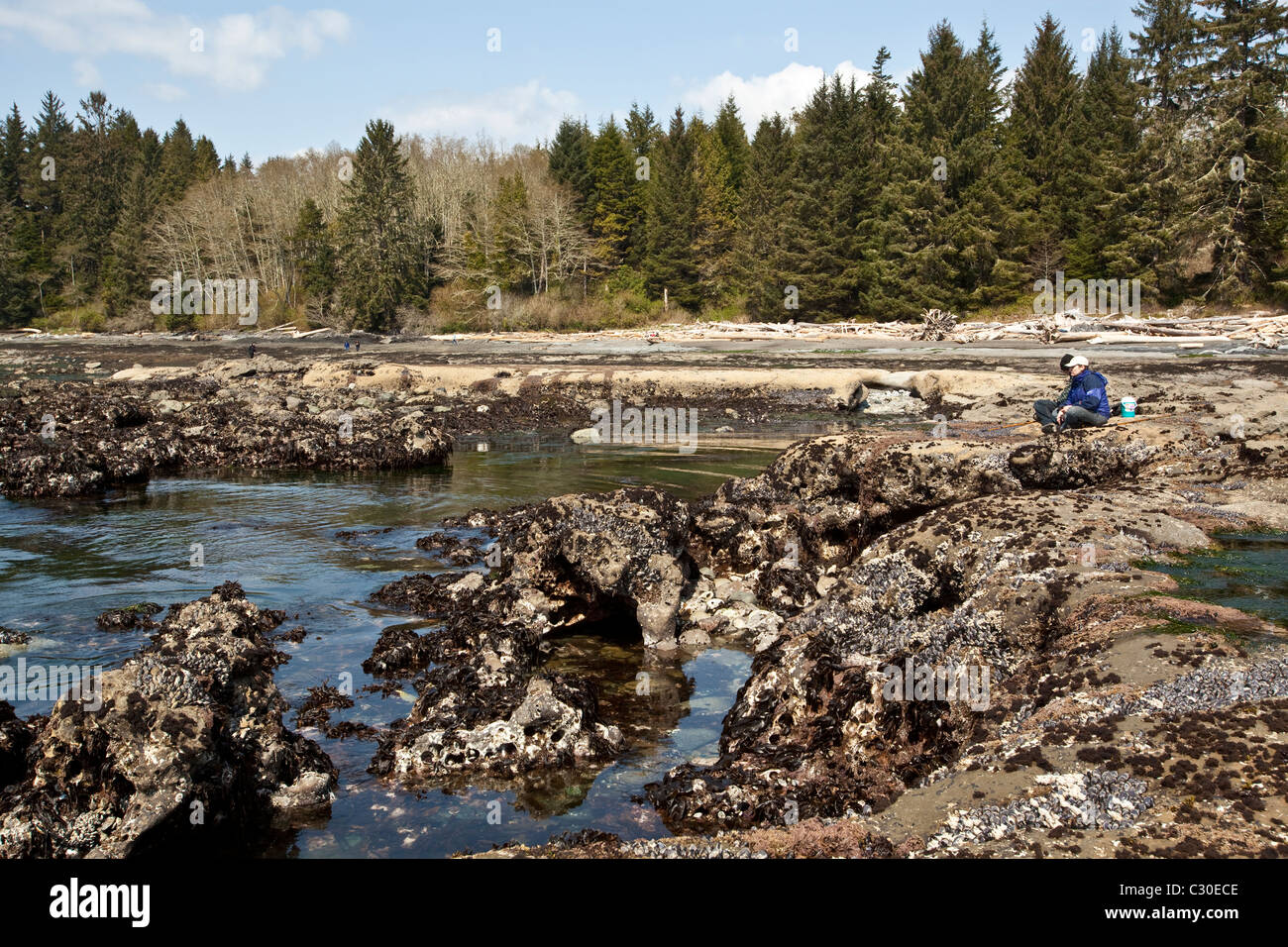 Botanical Beach. Vancouver Island, BC, Canada Stock Photo - Alamy