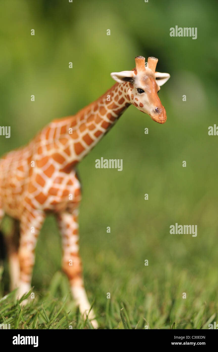 Giraffe toy plastic animal Stock Photo - Alamy