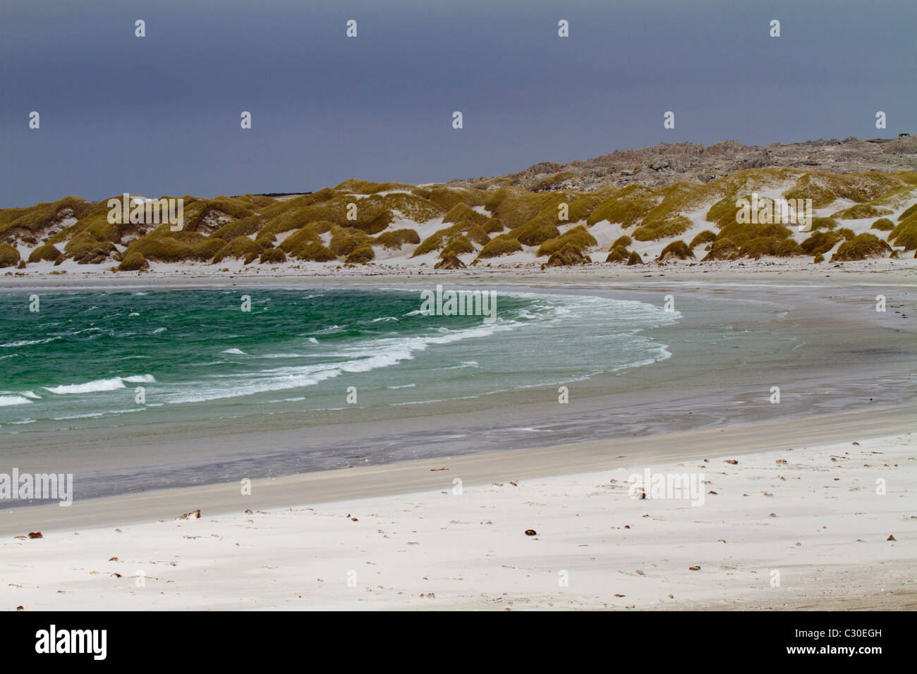 Yorke Bay Beach, East Falklands Stock Photo - Alamy