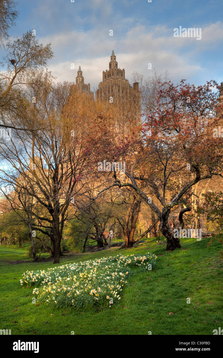 Spring in Central Park in the early morning Stock Photo - Alamy