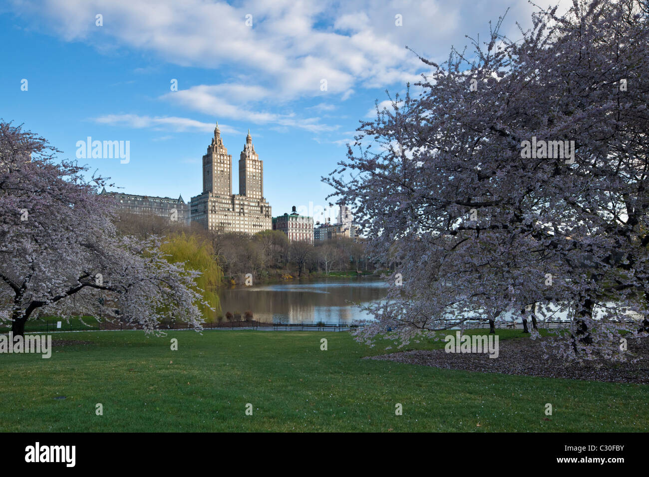 Central park spring hi-res stock photography and images - Alamy