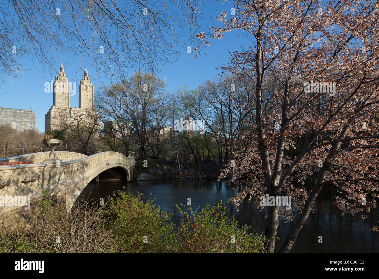 Central Park - New York City at the bow bridge in spring with cherry ...
