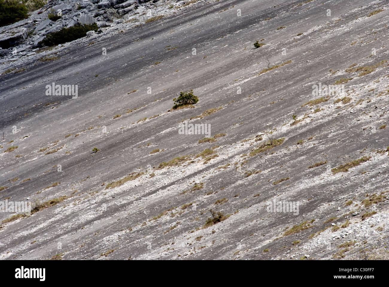 Granite rock crevice hi-res stock photography and images - Alamy