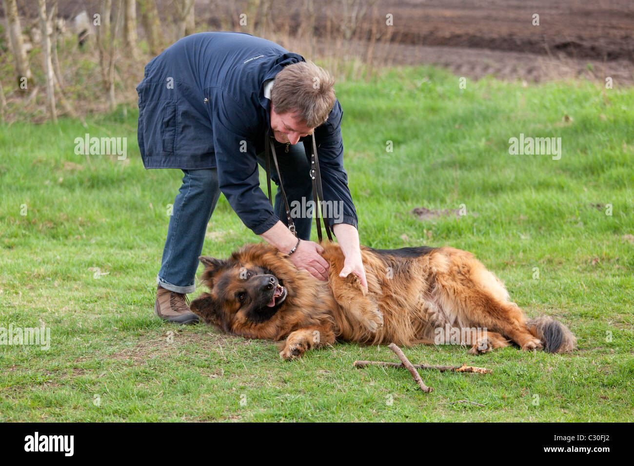 Reclining man petting dog hi-res stock photography and images - Alamy