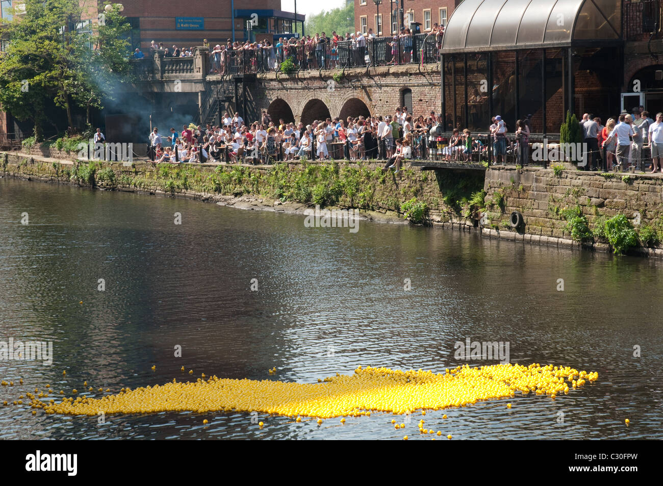 Manchester duck race hi-res stock photography and images - Alamy