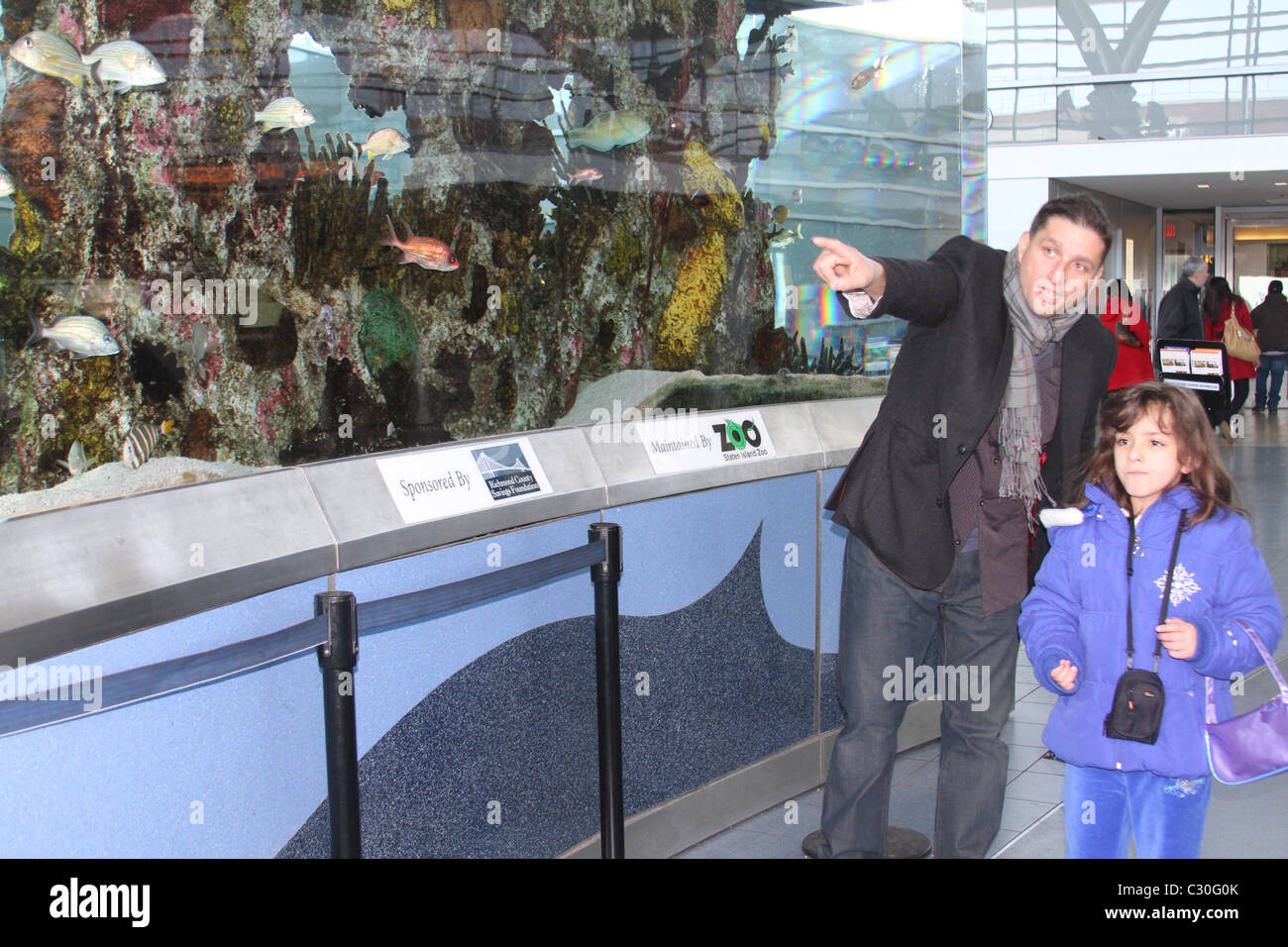 Father and daughter looking at a fish tank Stock Photo - Alamy