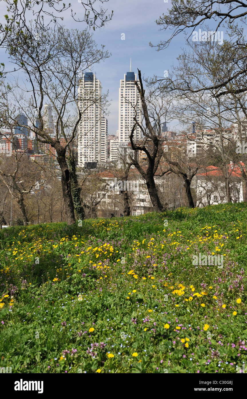 panoramic landscape of Istanbul Stock Photo - Alamy