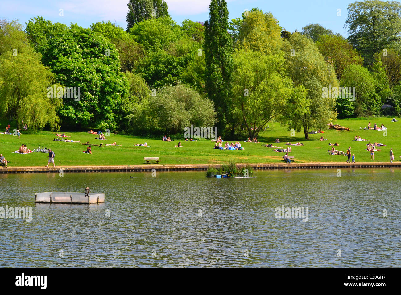 Hampstead Heath London Stock Photo - Alamy