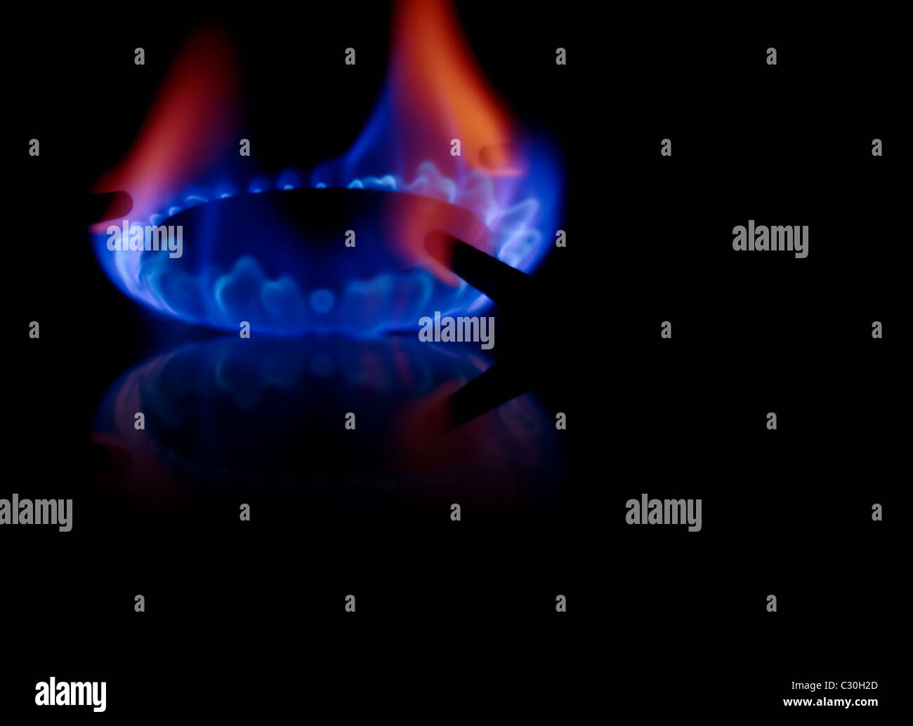Blue gas flame on a stove close up photo with text space Stock Photo ...