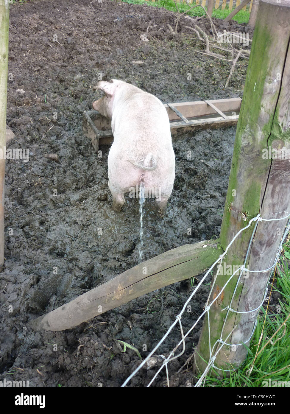 Dirty slurry hi-res stock photography and images - Alamy