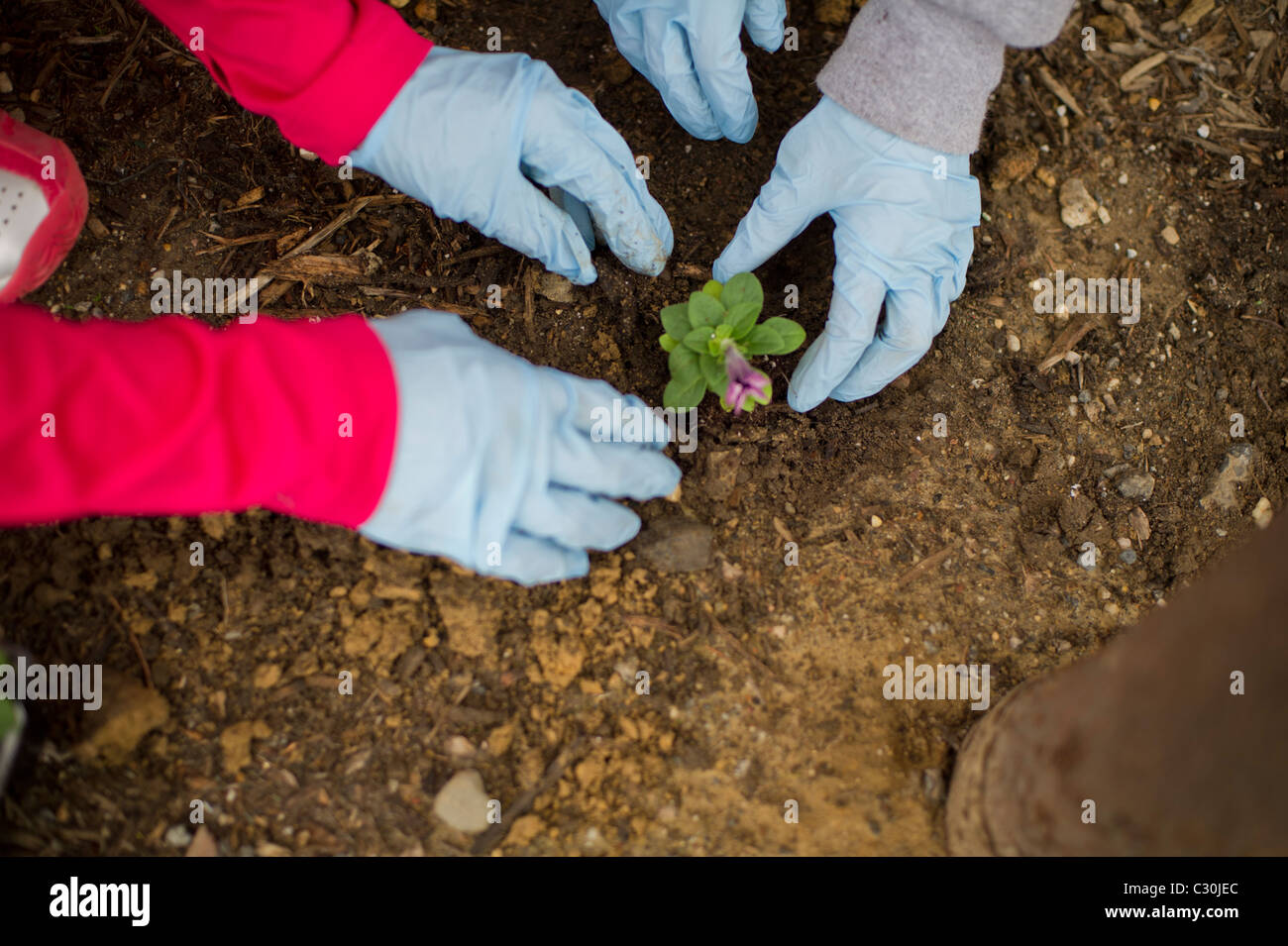 Children participate in Clean Up Day in Harlem Stock Photo - Alamy