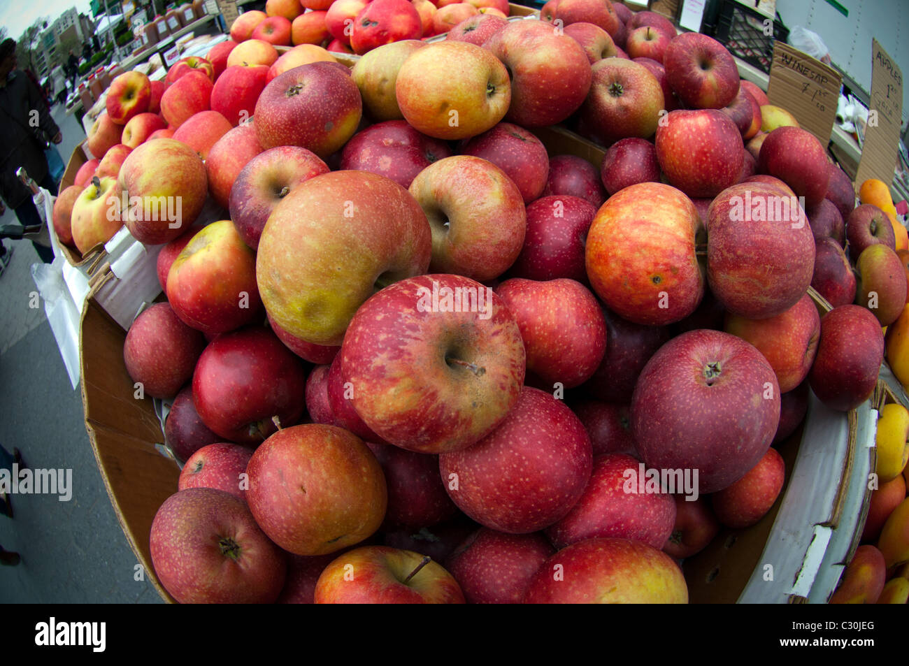Apples on sale at a farmer's stand in the Union Square Greenmarket in ...
