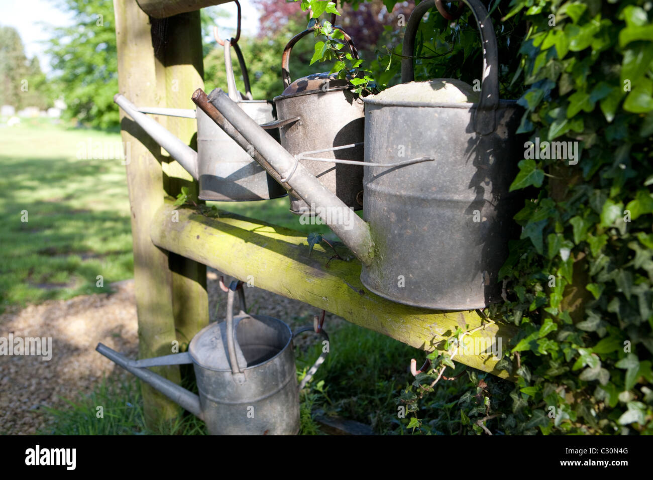 A gathering of watering cans Stock Photo - Alamy