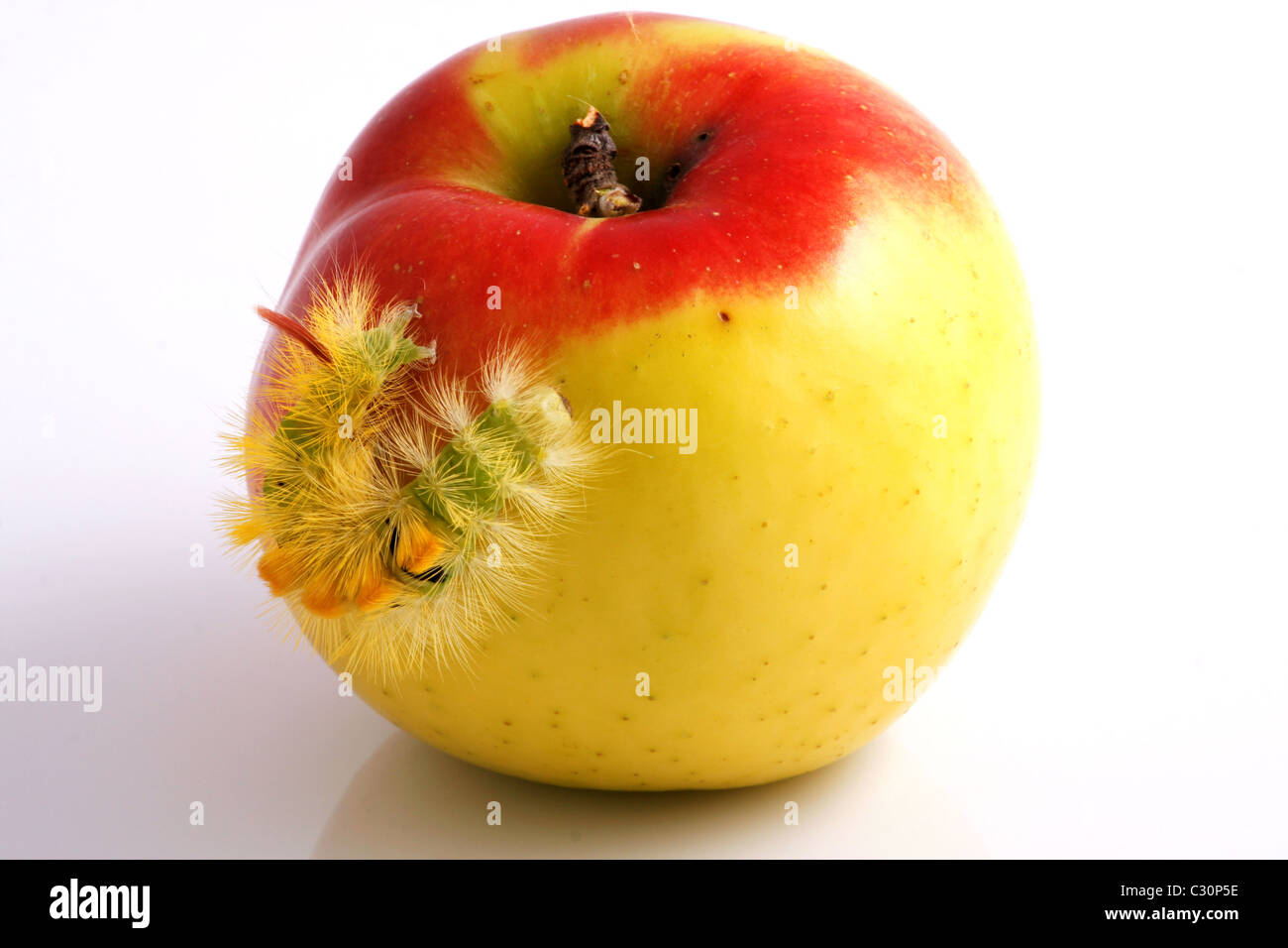 Caterpillar apple hi-res stock photography and images - Alamy
