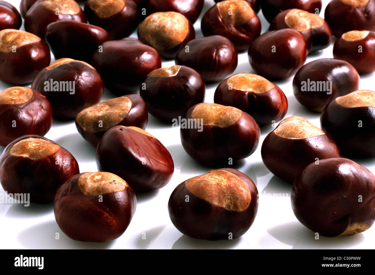 Chestnut oil extract hi-res stock photography and images - Alamy