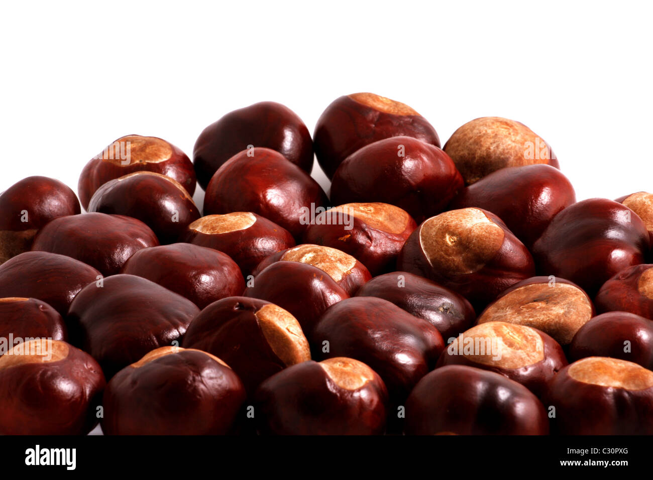 Chestnut oil extract hi-res stock photography and images - Alamy