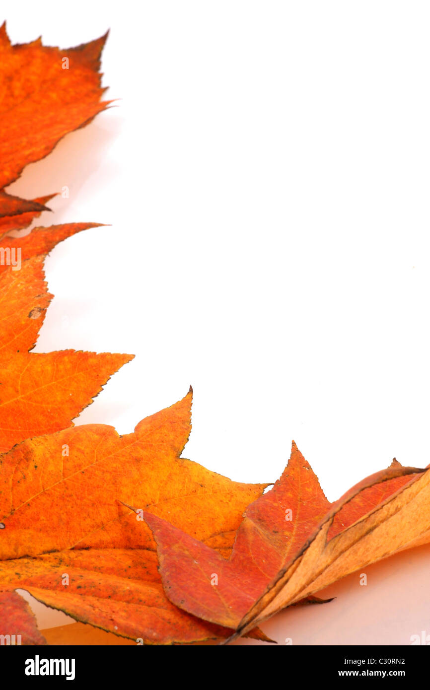 Autumn leaves lyrics hi-res stock photography and images - Alamy