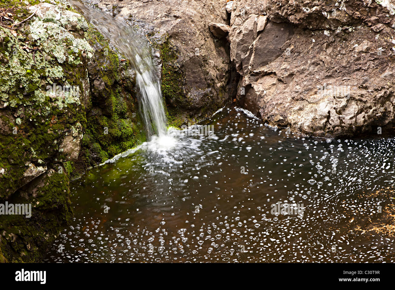 Mountain stream pouring into mossy pool with bubbles Big Bend National ...