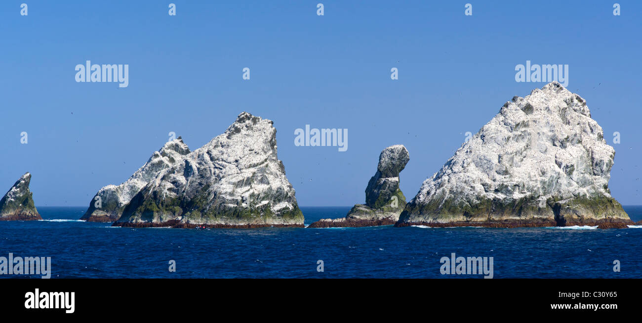 Shag rocks hi-res stock photography and images - Alamy