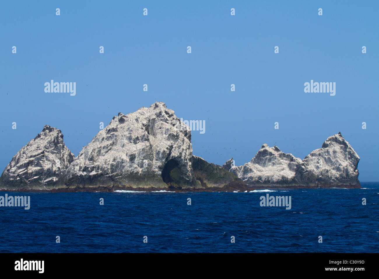 Shag Rocks, South Atlantic Ocean Stock Photo - Alamy