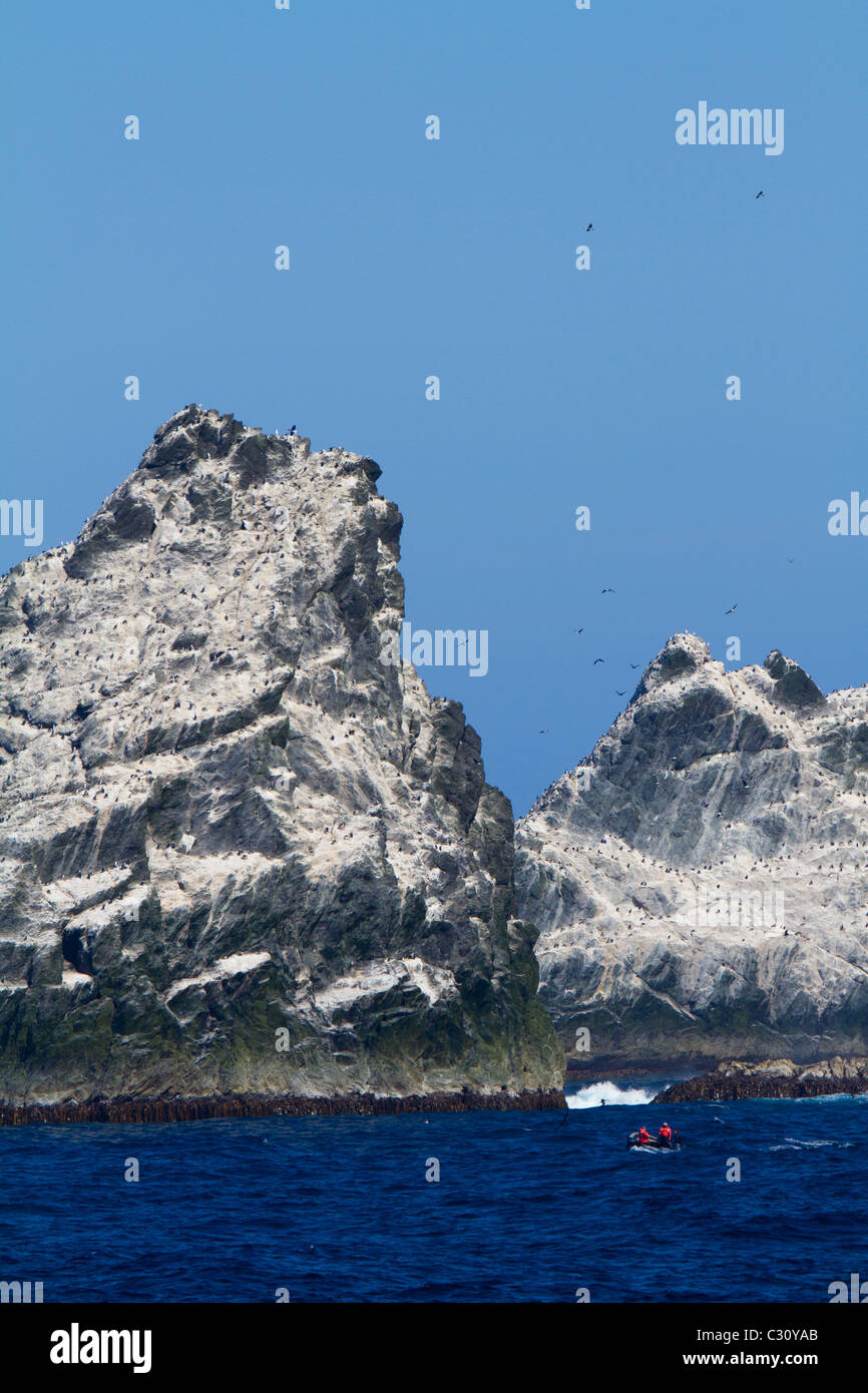 Shag Rocks, South Atlantic Ocean Stock Photo - Alamy