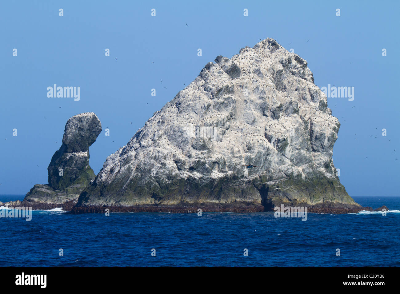 Shag rocks hi-res stock photography and images - Alamy